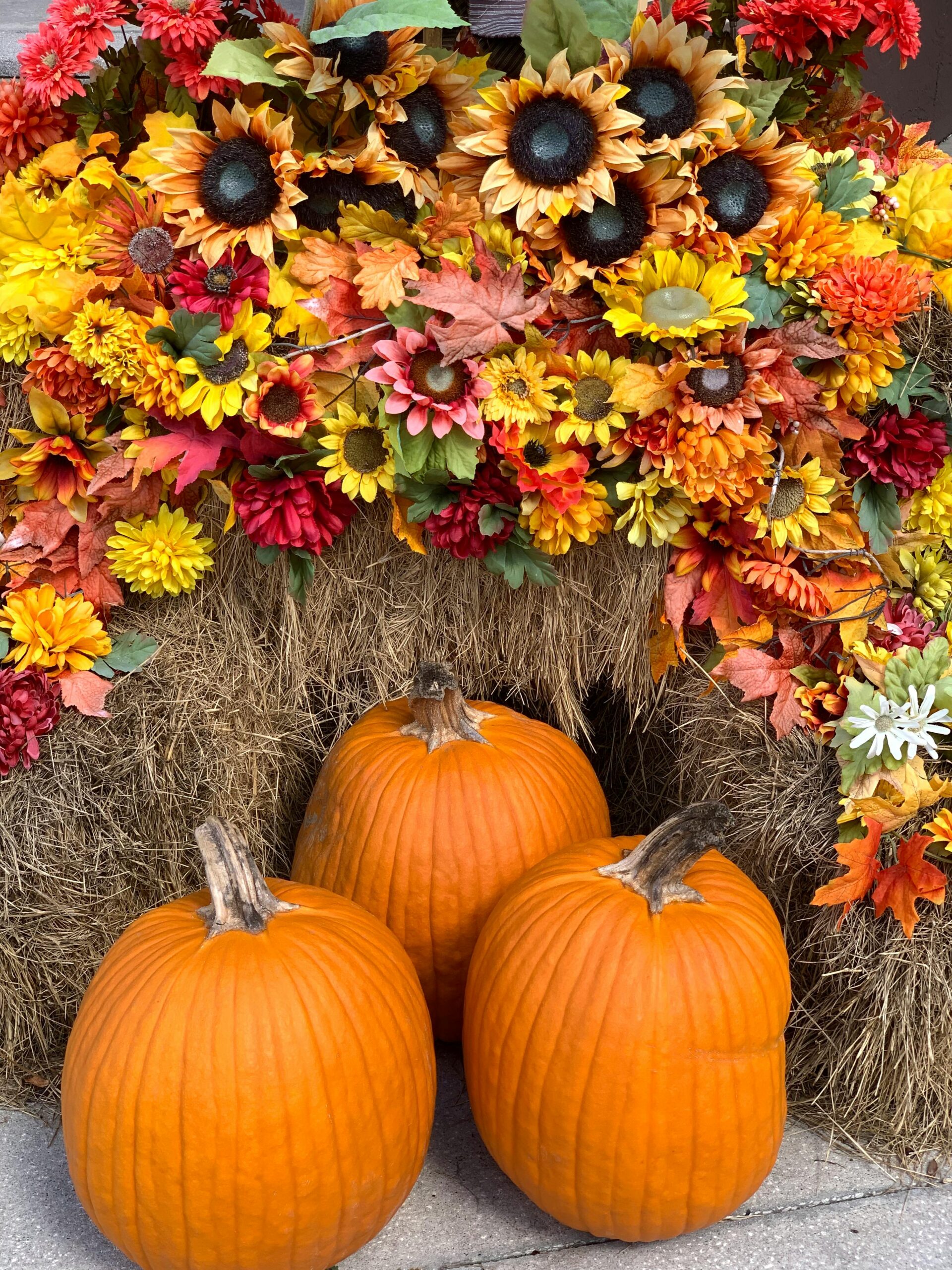 Cómo preparar tu propio pumpkin spice - Mujeres Mx